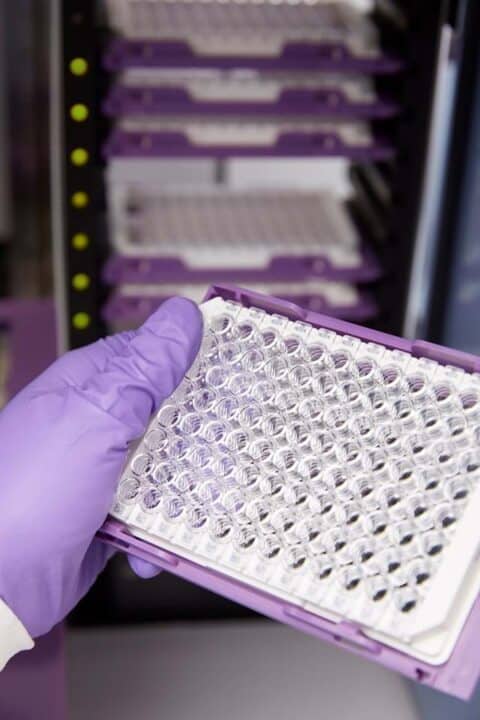 Holistic supply chain solution enables Malawi to acquire new ...