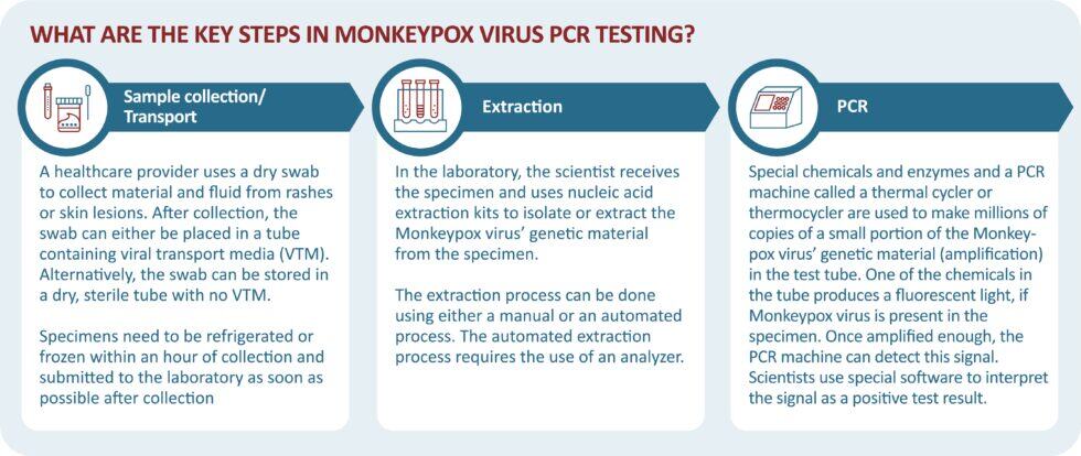 Disrupting Transmission Chains: PCR Testing for Mpox